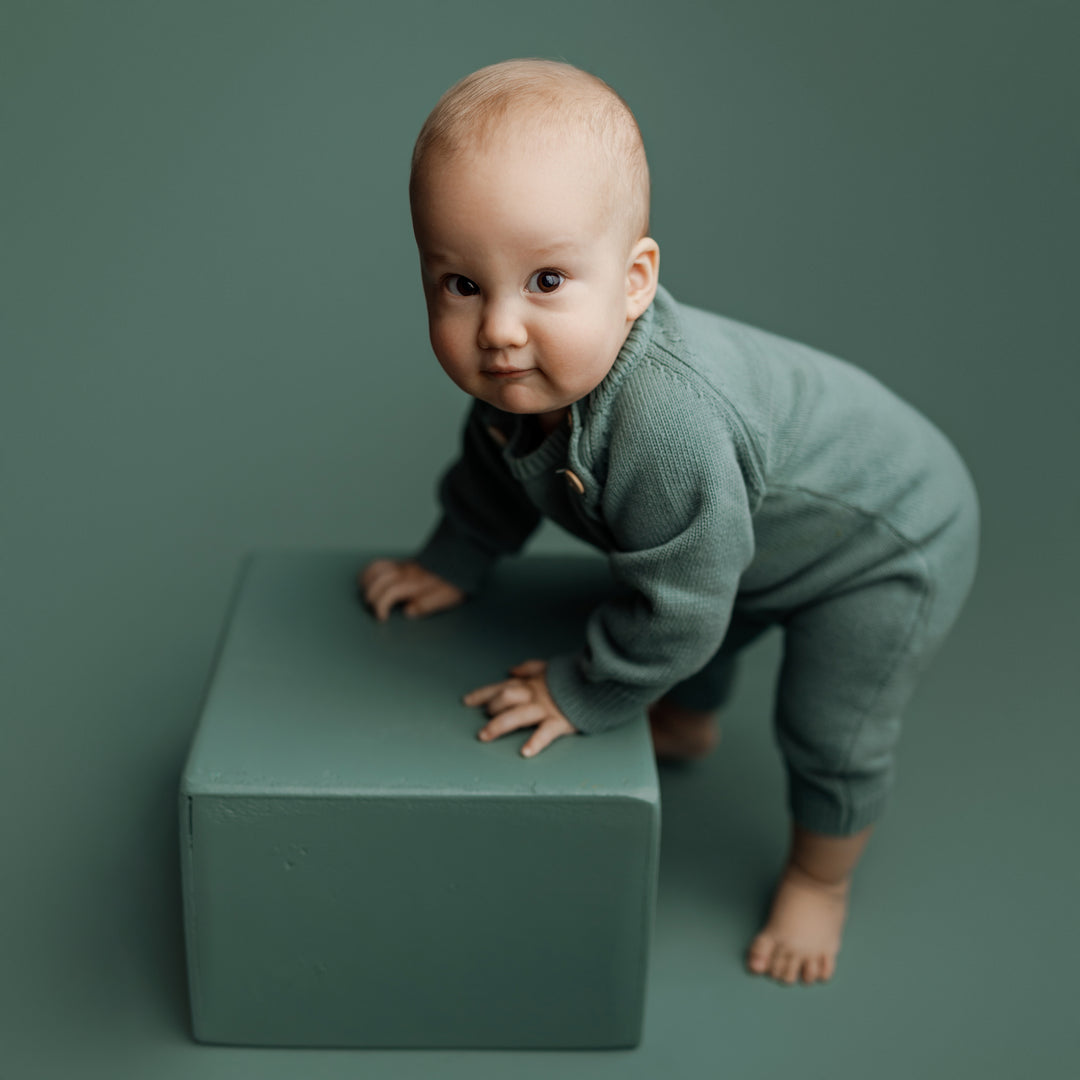 Seamless Paper | Love Fern – The Newborn Nerds