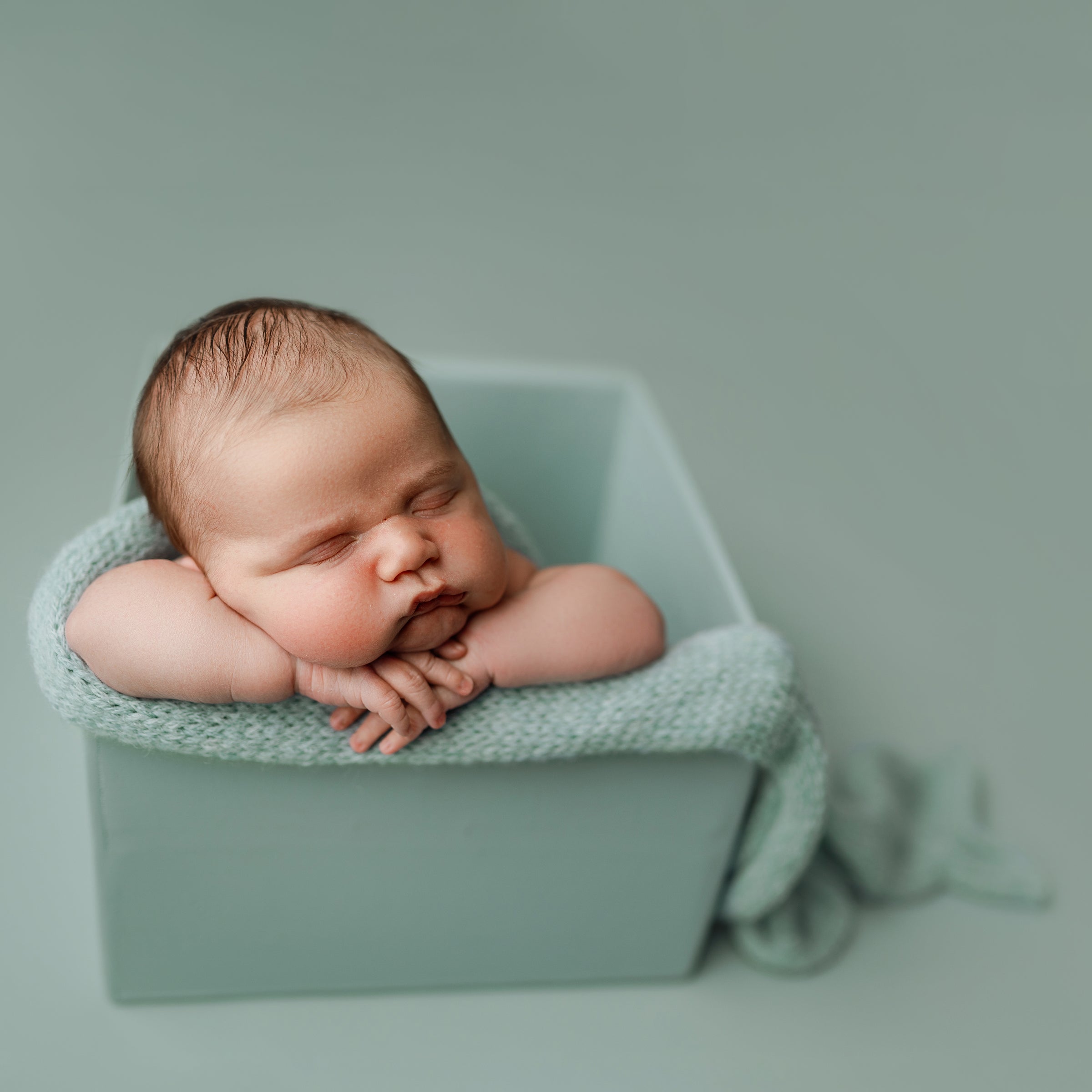 Seamless Paper | Cactus – The Newborn Nerds